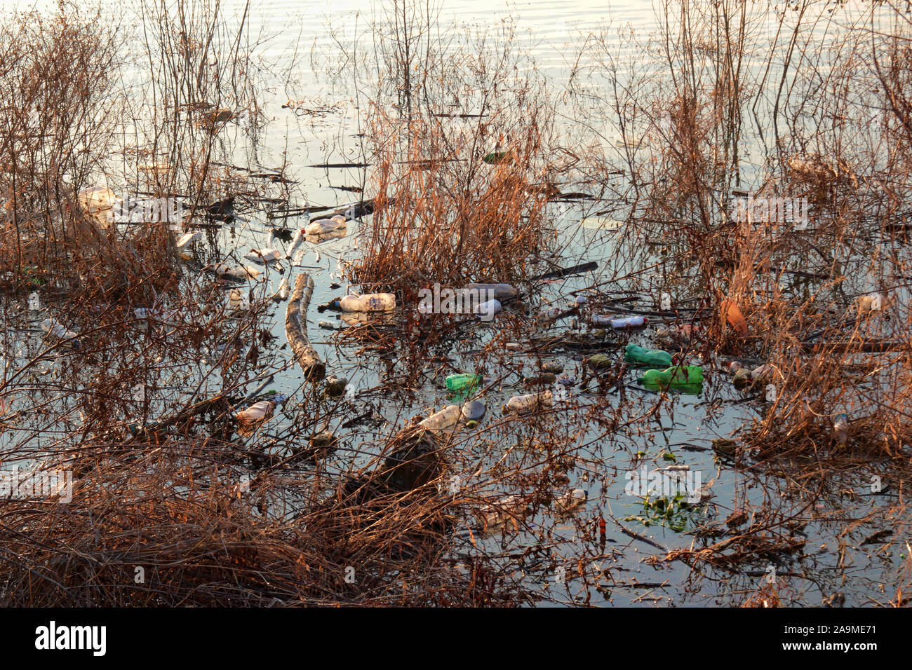 Trash floating in major European river Stock Photo - Alamy