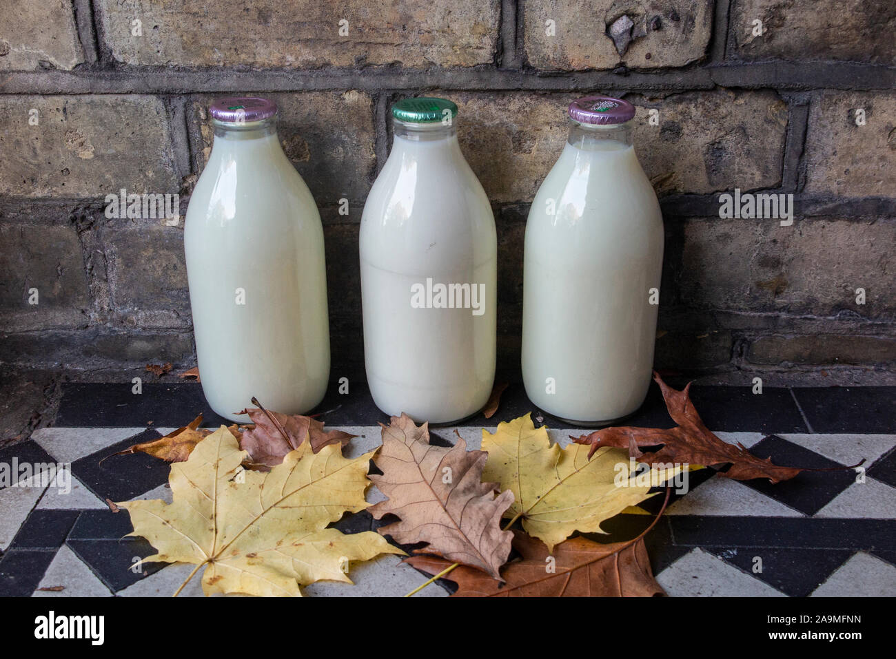 Milk bottles on a doorstep with autumnal leaf fall Stock Photo - Alamy