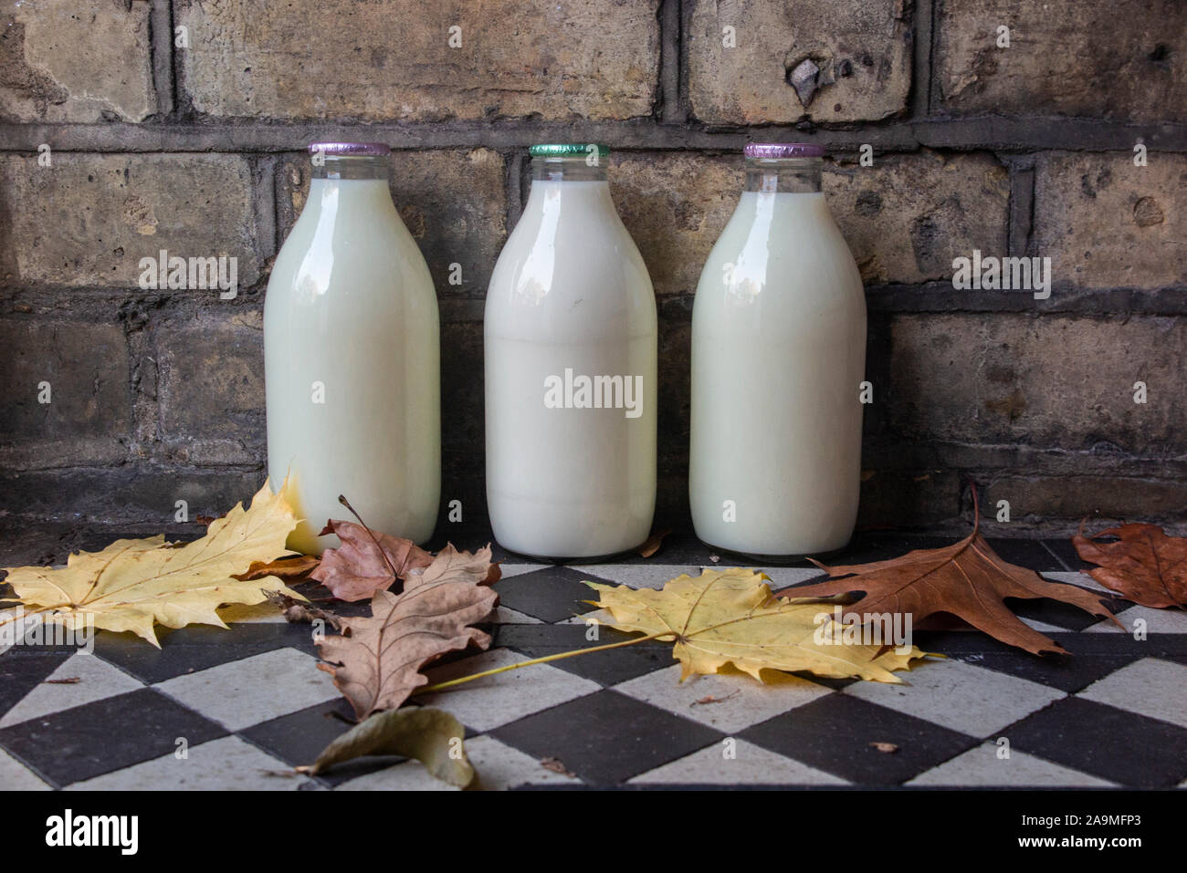 Milk bottles on a doorstep with autumnal leaf fall Stock Photo - Alamy