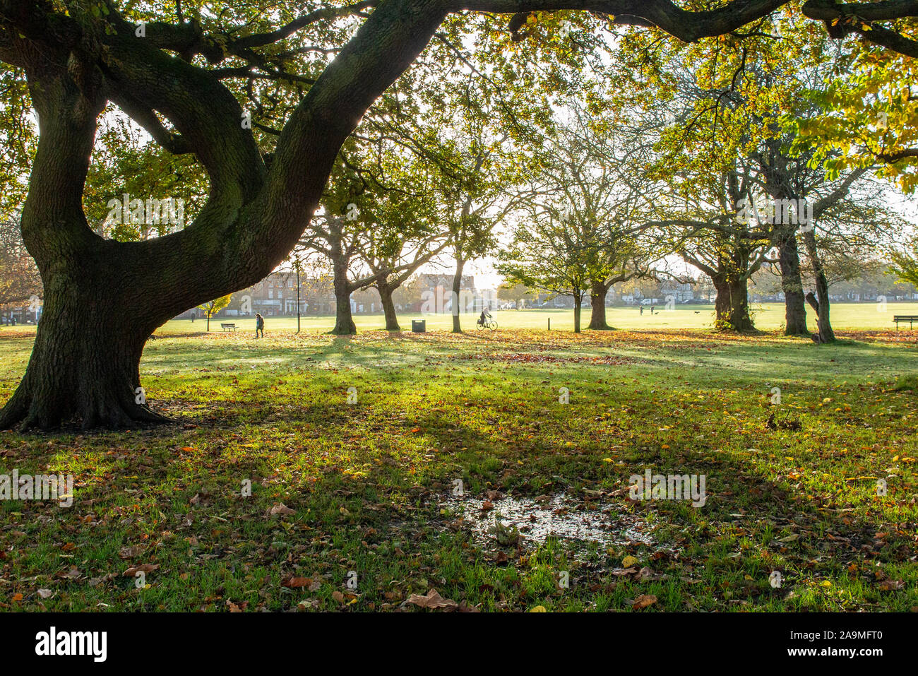 Crisp morning sunshine hi-res stock photography and images - Alamy