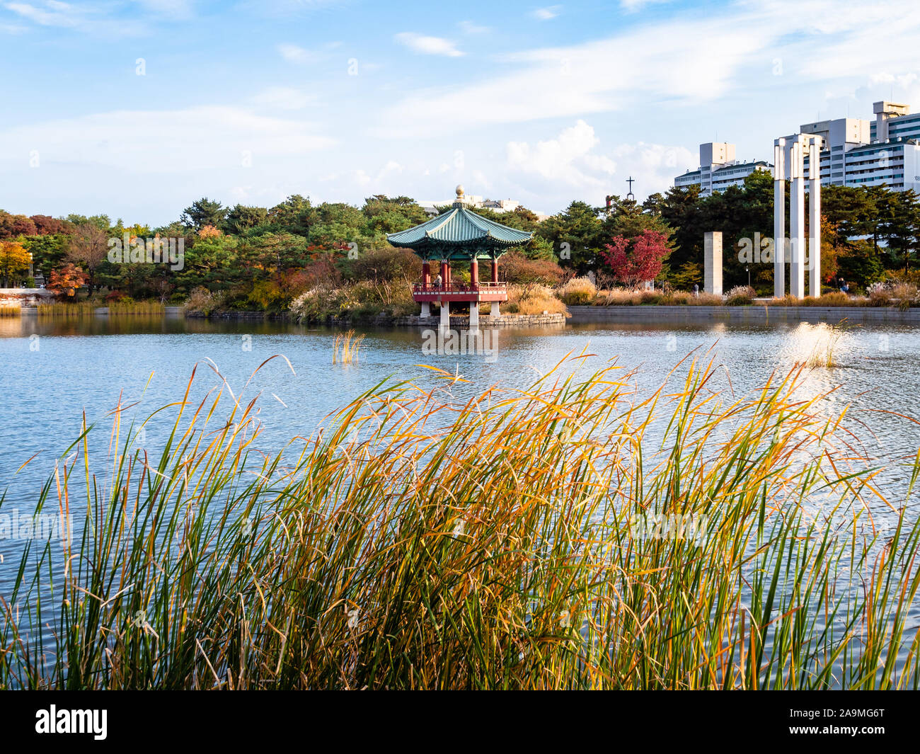 travel to South Korea - green grass and Geowul pond in front of ...