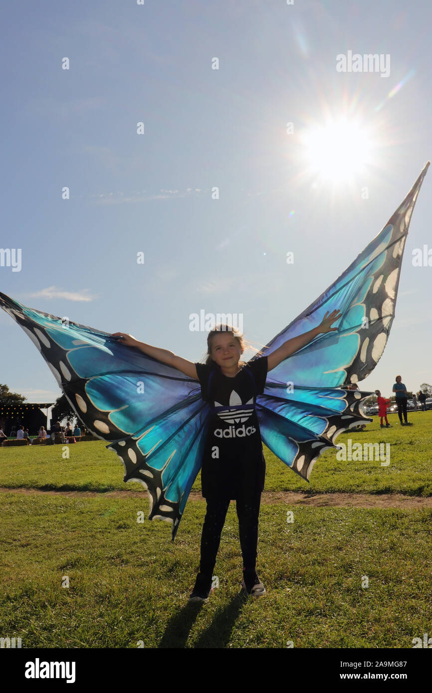 Glider butterfly hi-res stock photography and images - Alamy