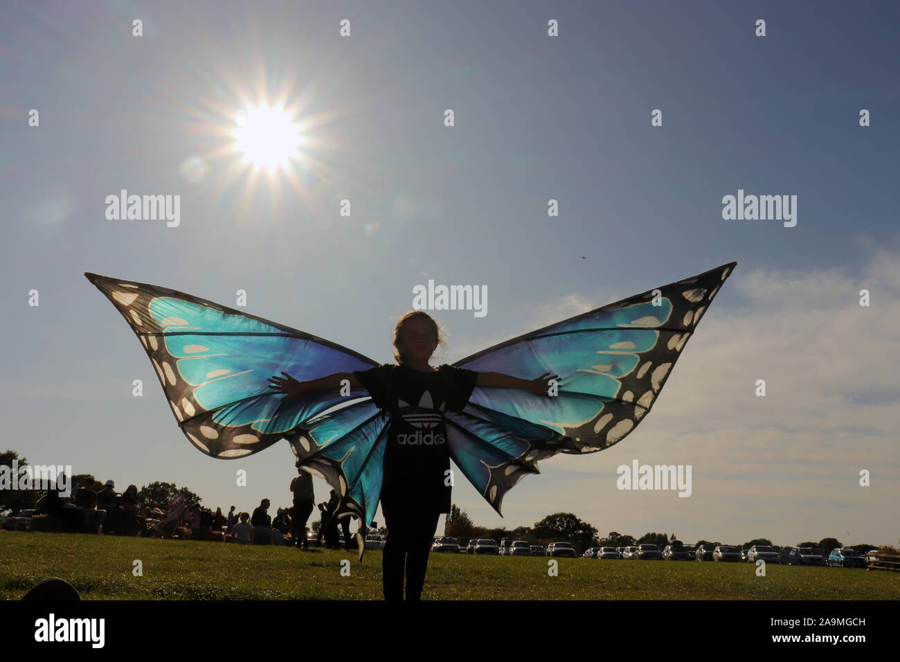 Butterly plants hi-res stock photography and images - Alamy
