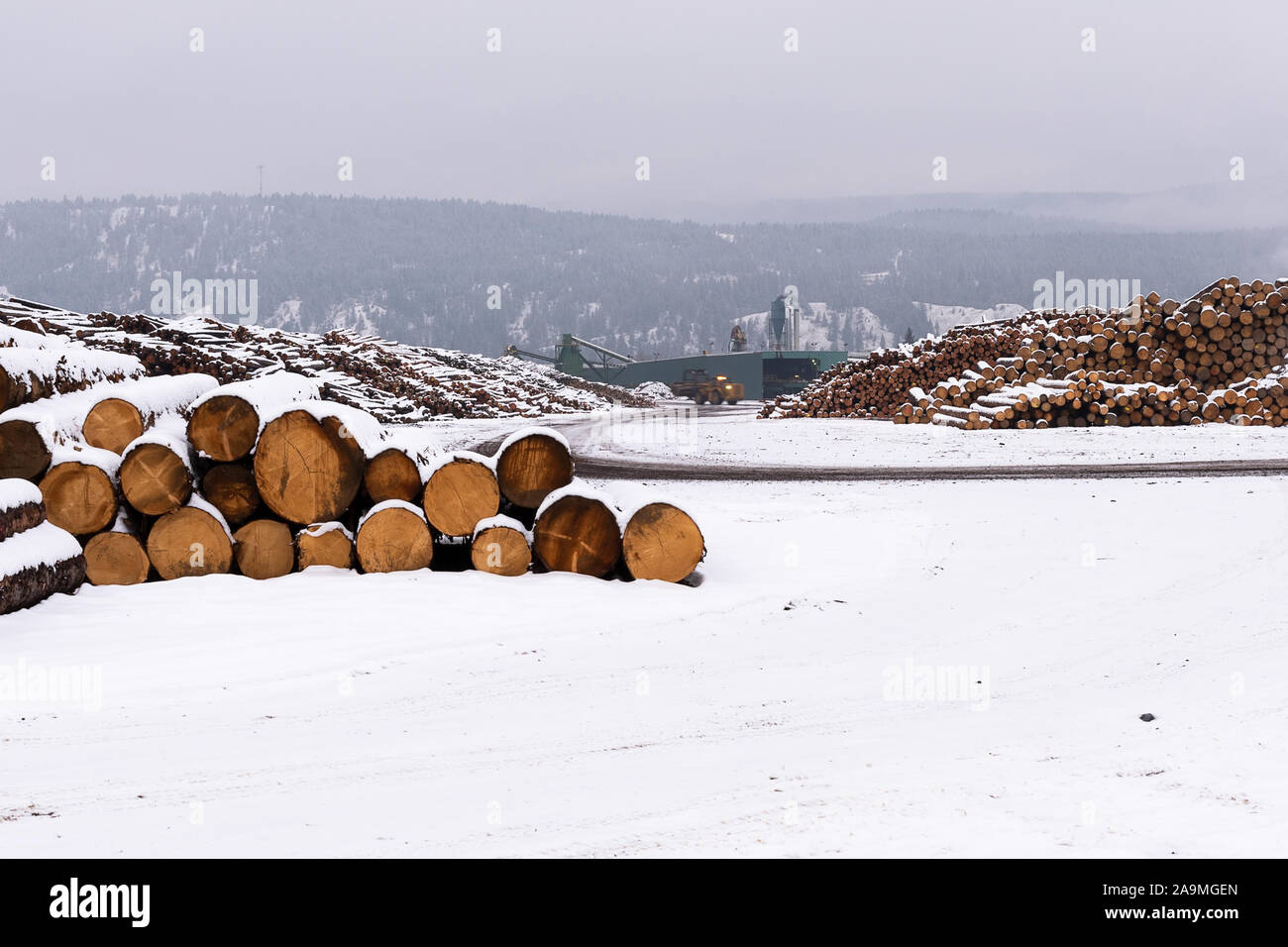 Lumber mill in british columbia hi-res stock photography and images - Alamy