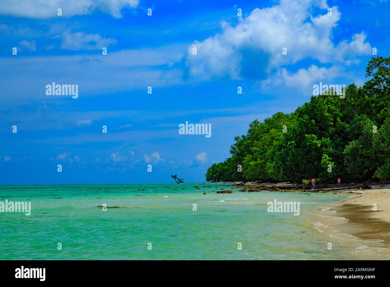 Andaman islands india view hi-res stock photography and images - Alamy