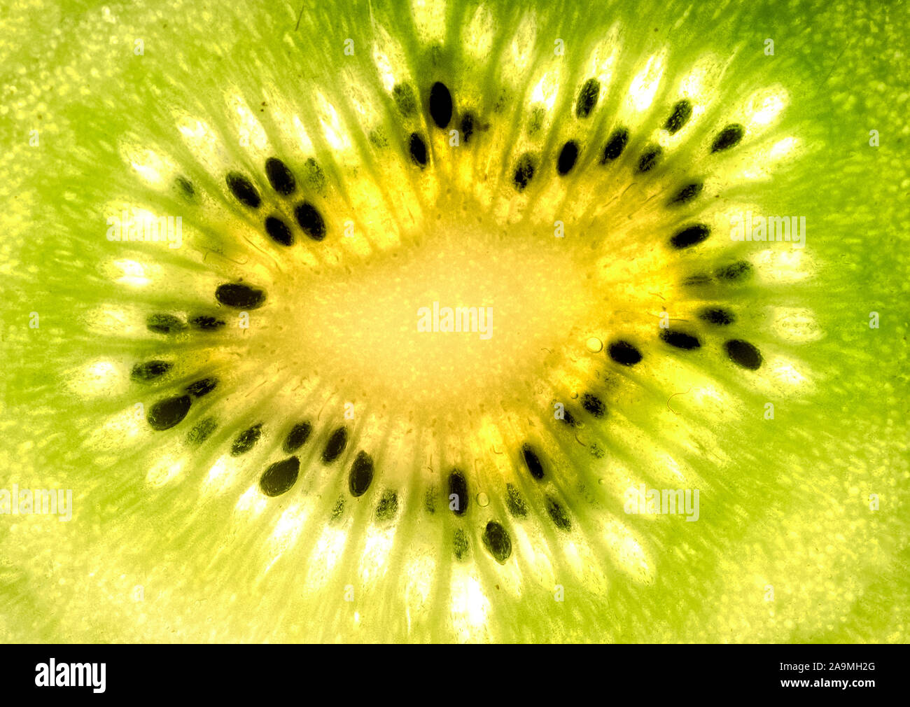 close up kiwi fruit Stock Photo - Alamy