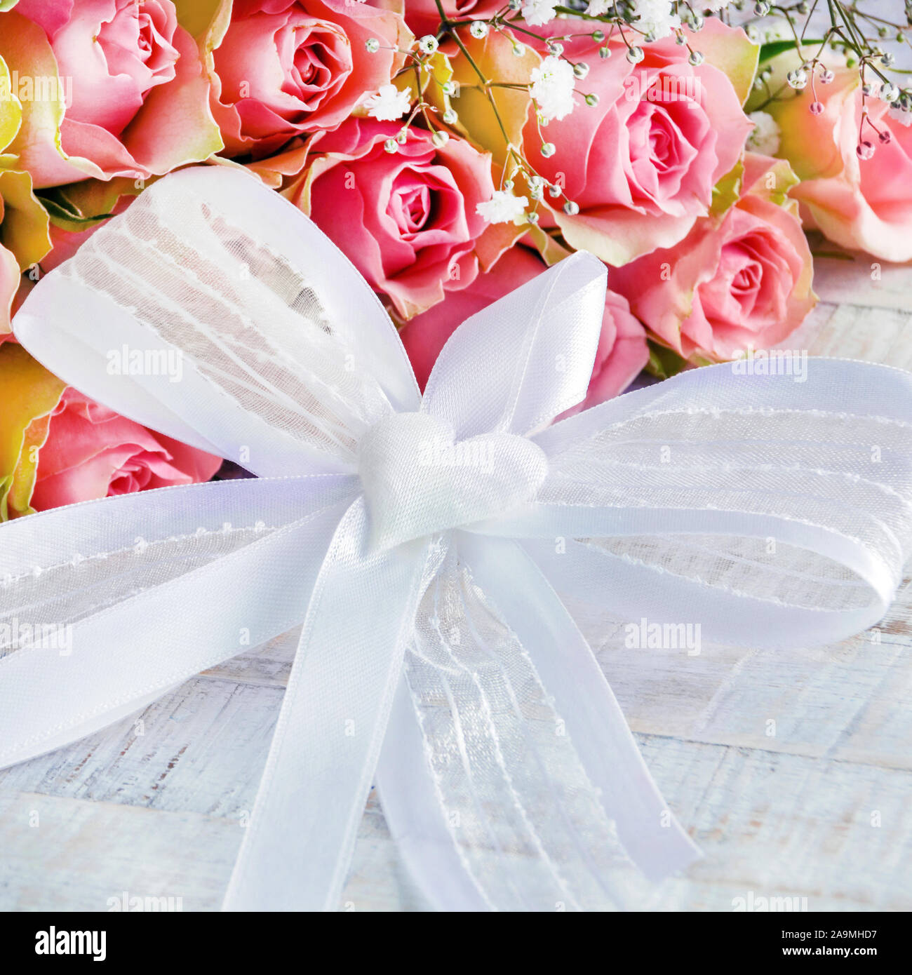 Roses with bow Stock Photo - Alamy