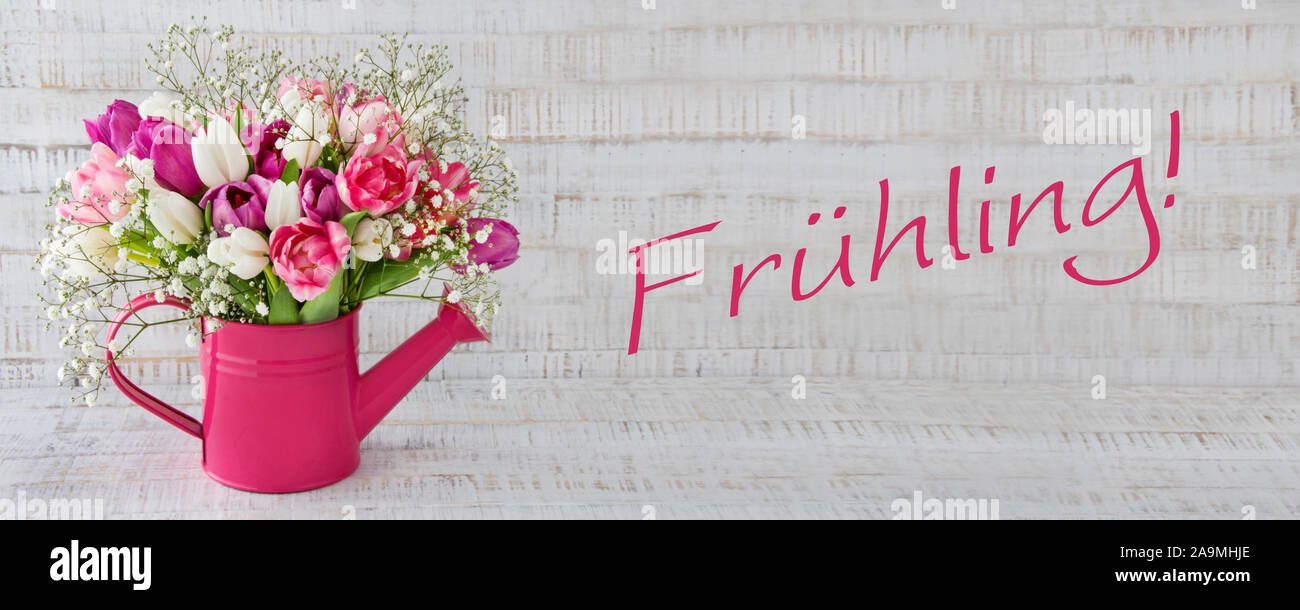 German spring flowers in can on wood as background Stock Photo - Alamy