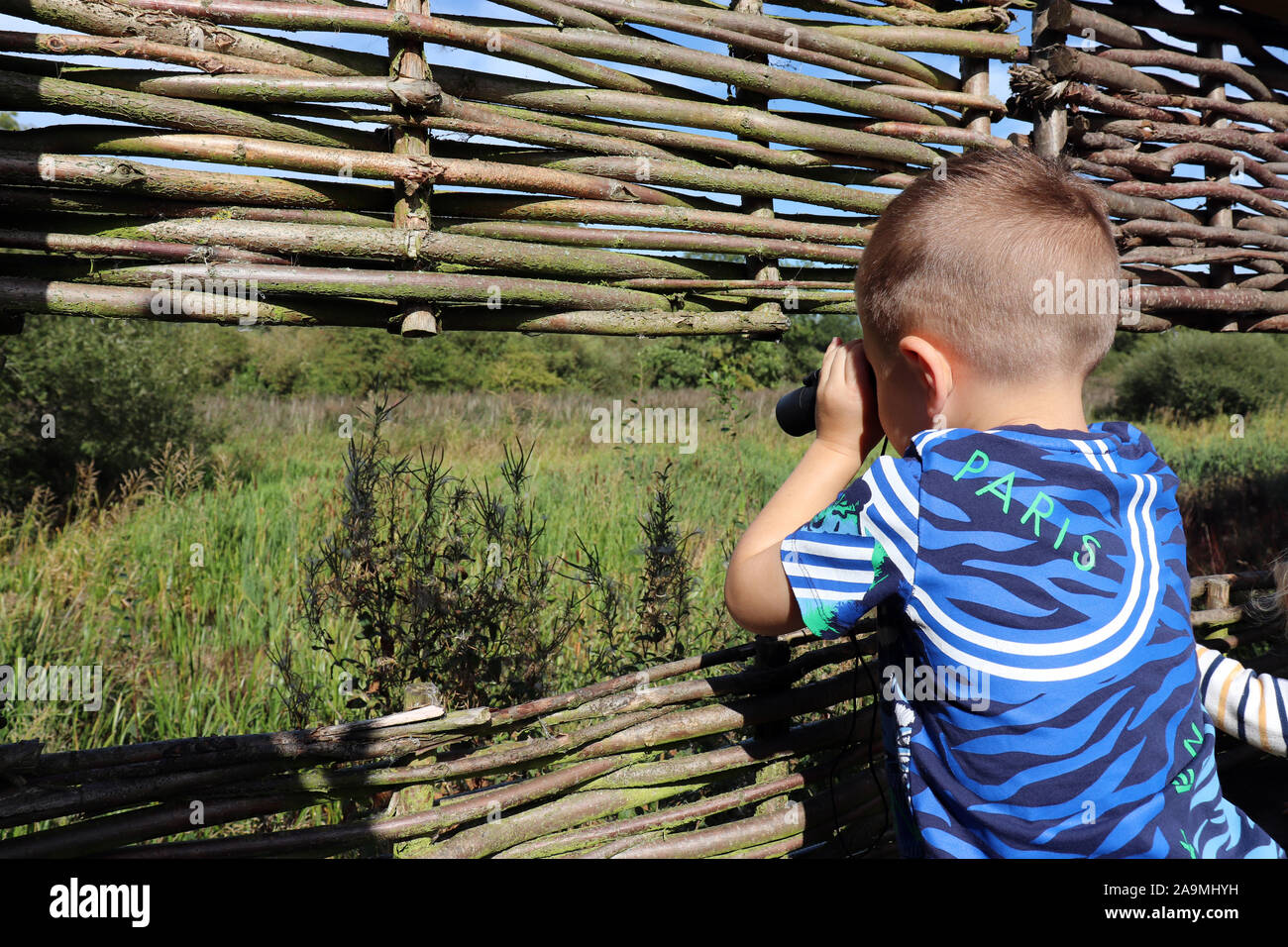 Bird observation hide hi-res stock photography and images - Alamy
