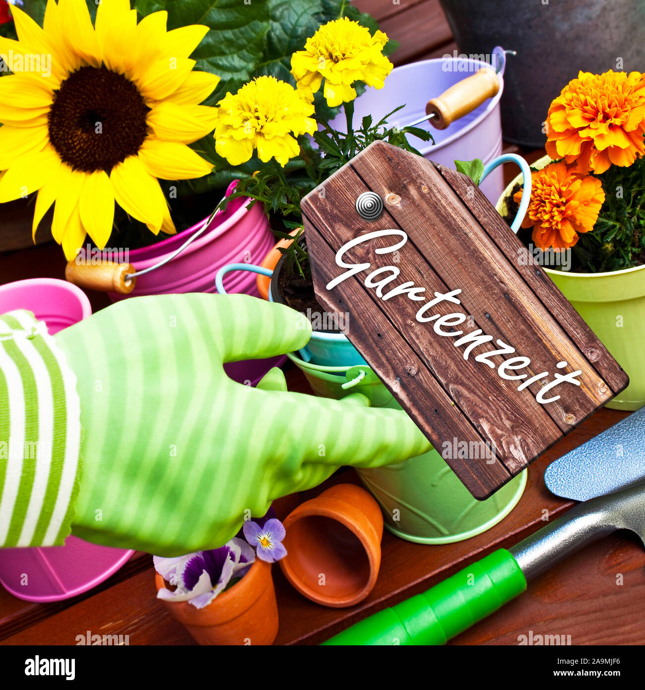 Gardening with flowers and tools background Stock Photo - Alamy