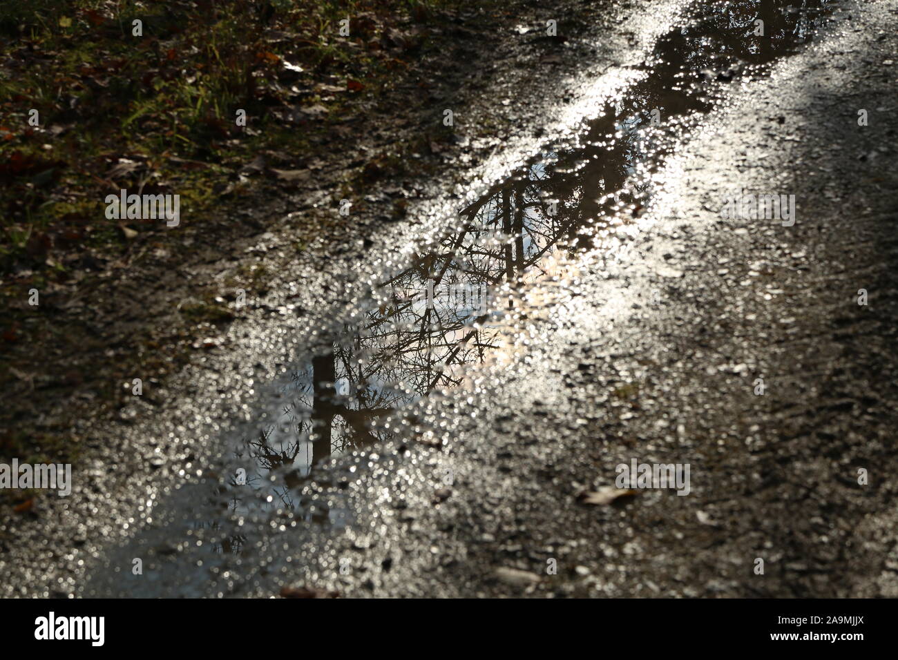 Puddle deep hi-res stock photography and images - Alamy
