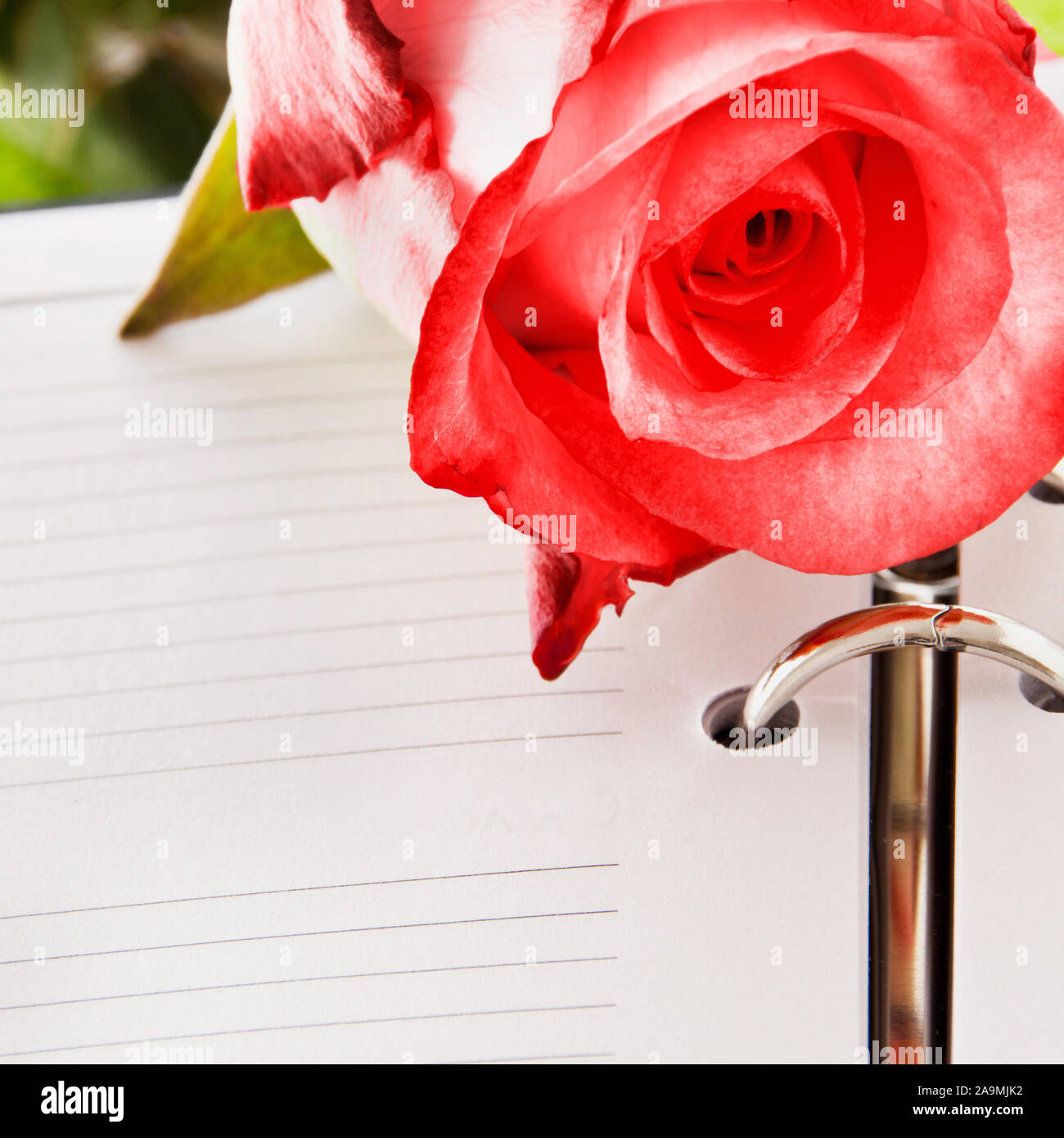 Calendar petals hi-res stock photography and images - Alamy