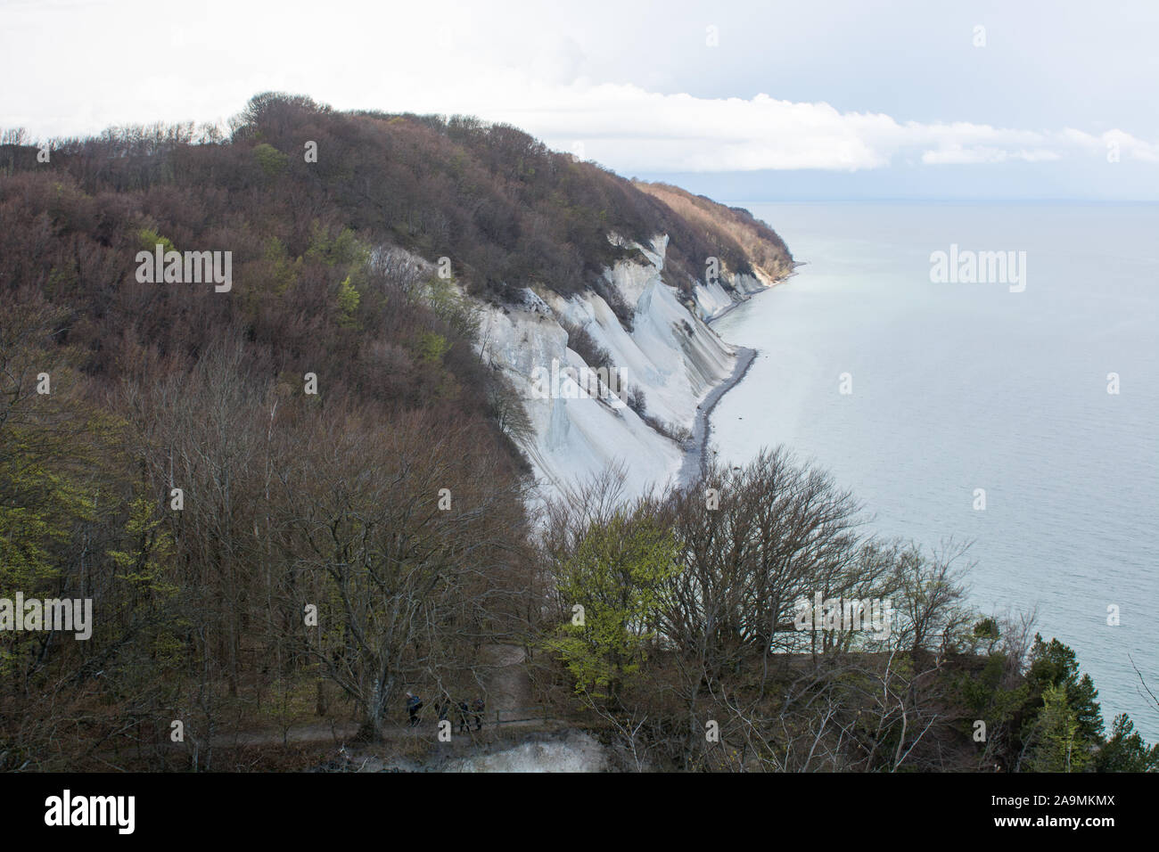 Chalk cliff landscape on Moens Klint in Denmark Stock Photo - Alamy