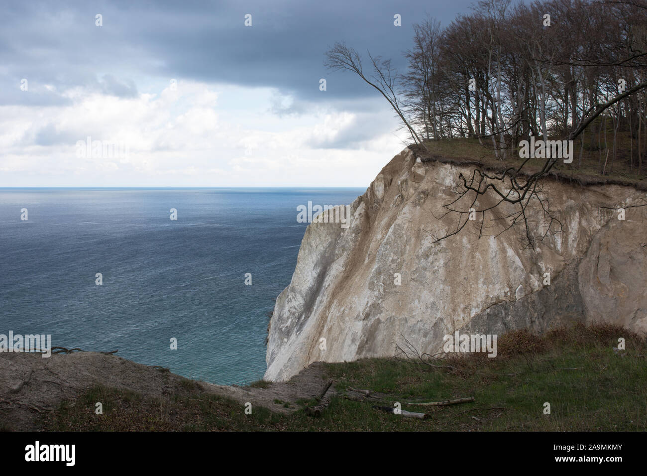 Chalk cliff landscape on Moens Klint in Denmark Stock Photo - Alamy