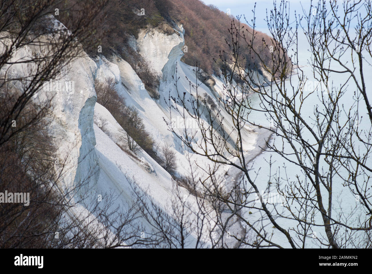 Chalk cliff landscape on Moens Klint in Denmark Stock Photo - Alamy