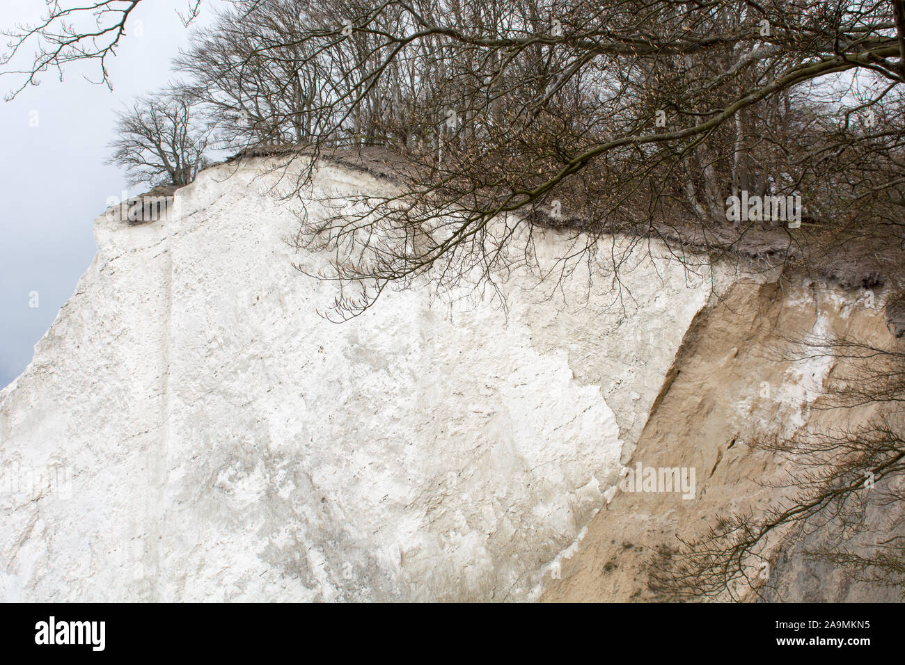 Chalk cliff landscape on Moens Klint in Denmark Stock Photo - Alamy