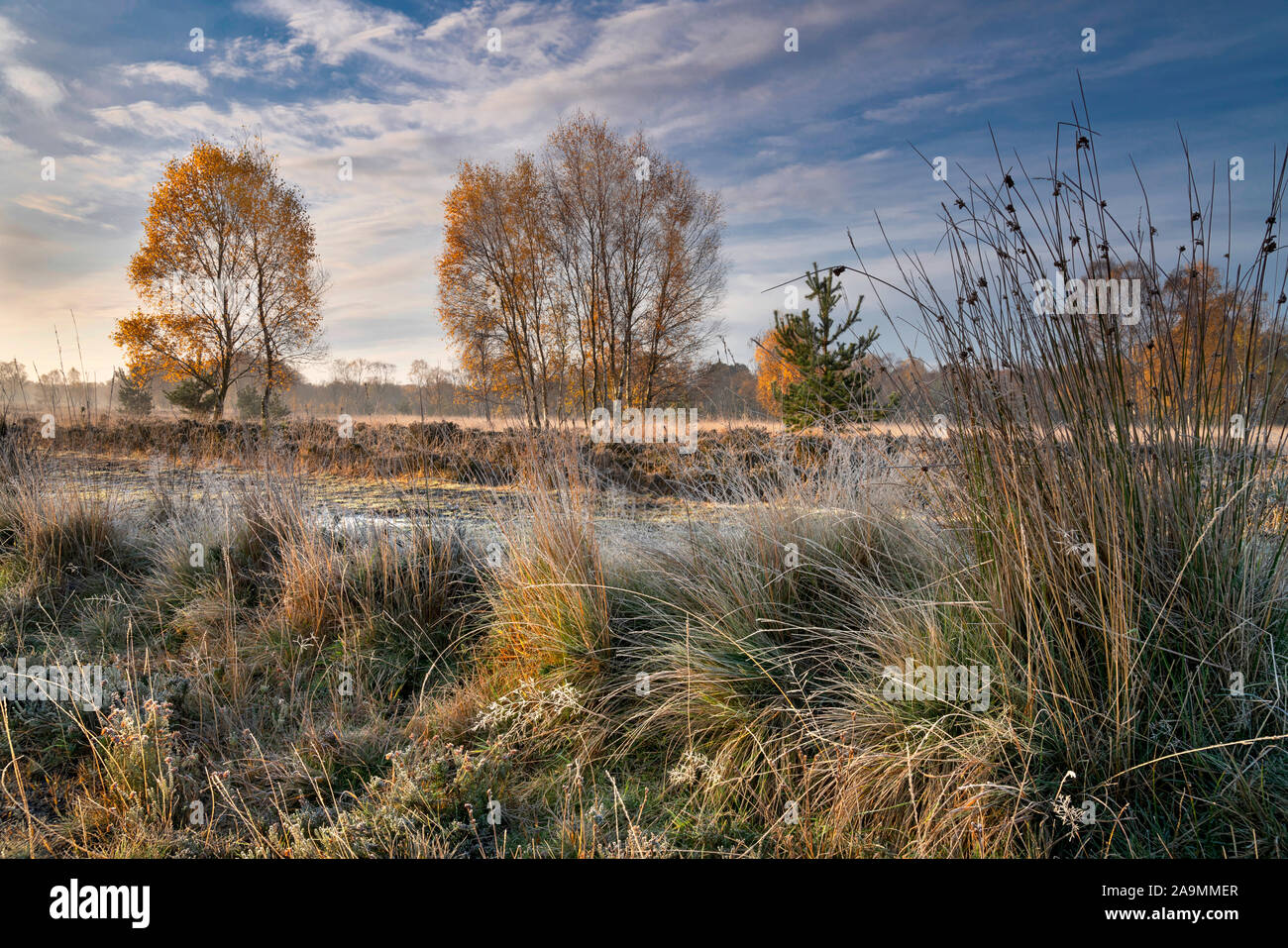 Strensall hi-res stock photography and images - Alamy