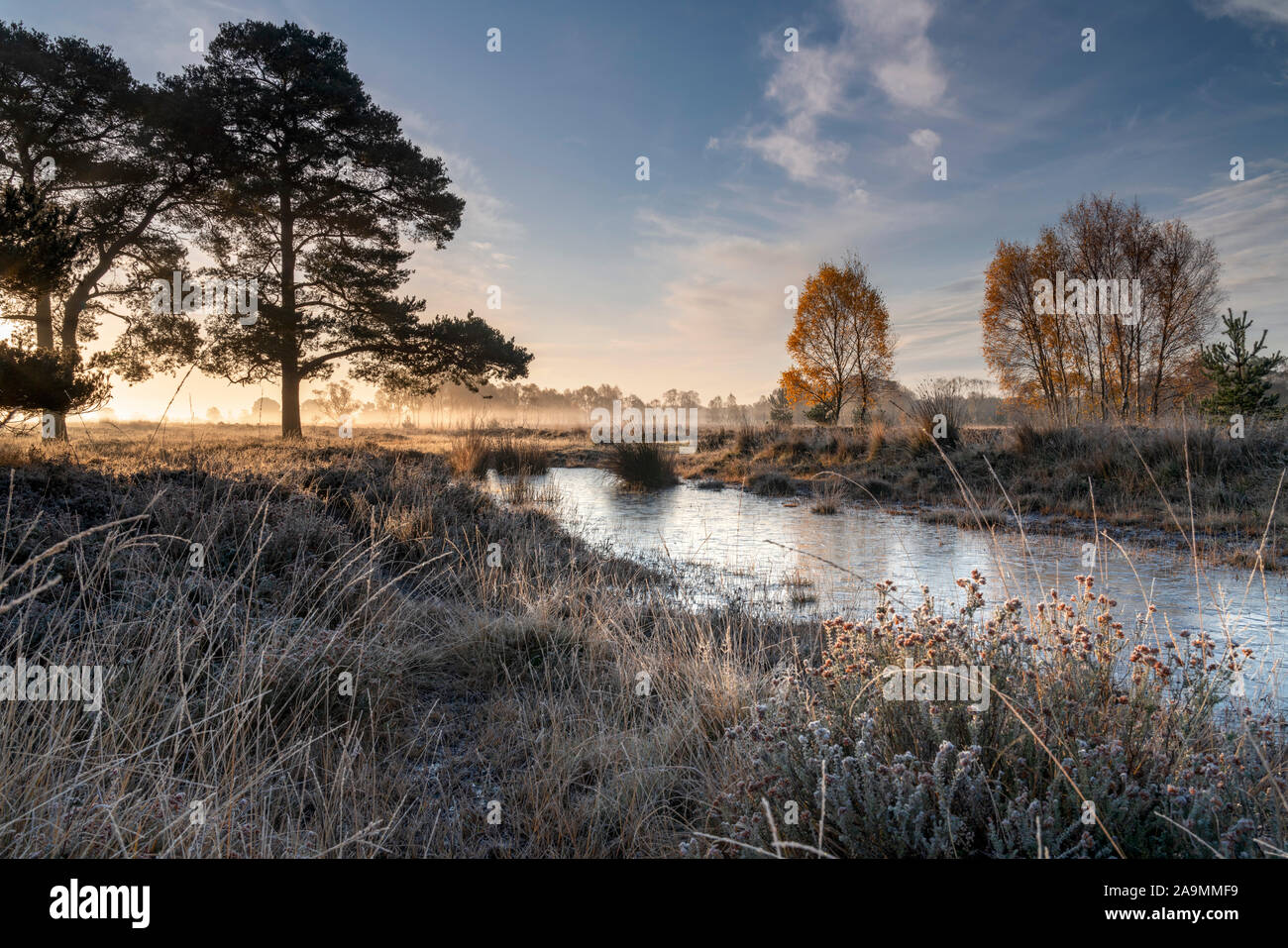 Strensall hi-res stock photography and images - Alamy