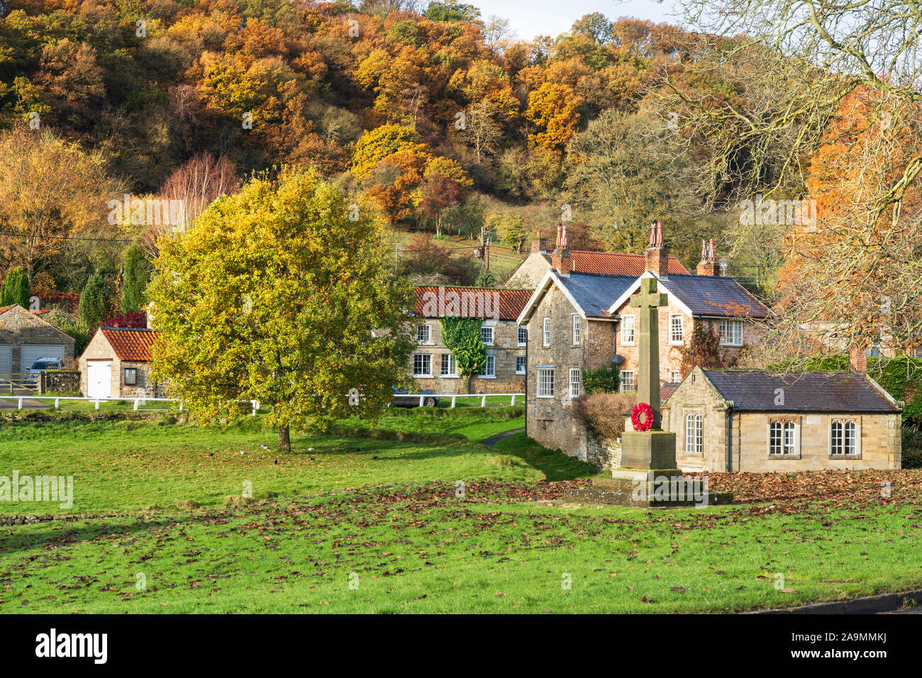 Poppy reeth hi-res stock photography and images - Alamy