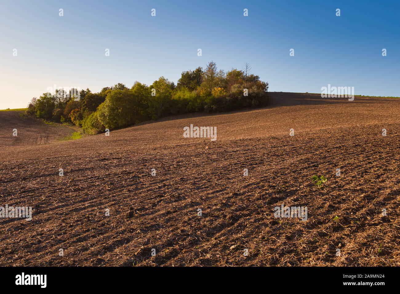 Moravian Tuscany – rolling landscape in south Moravia near Kyjov town ...