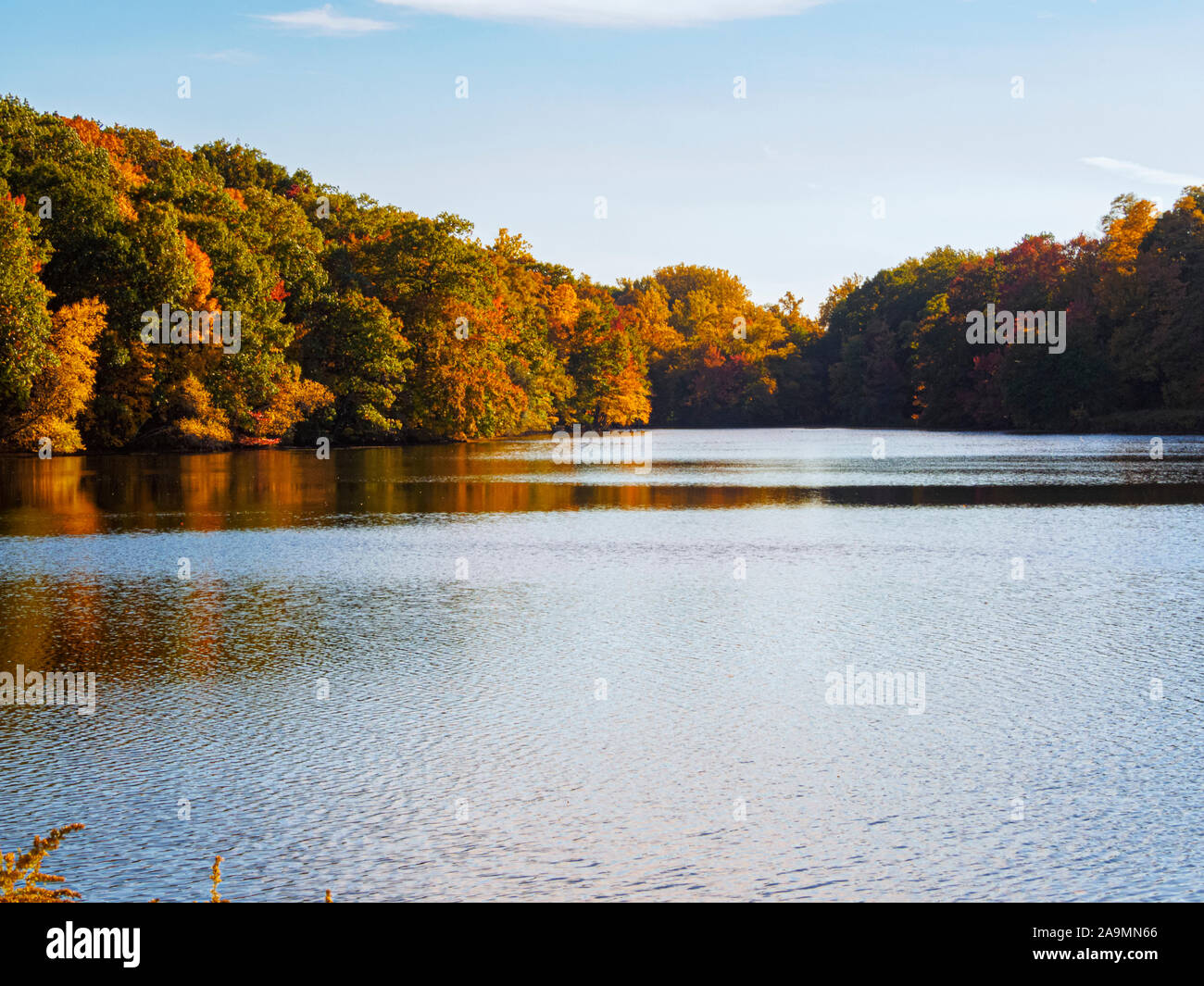 Rockefeller State Park Preserve High Resolution Stock Photography and ...