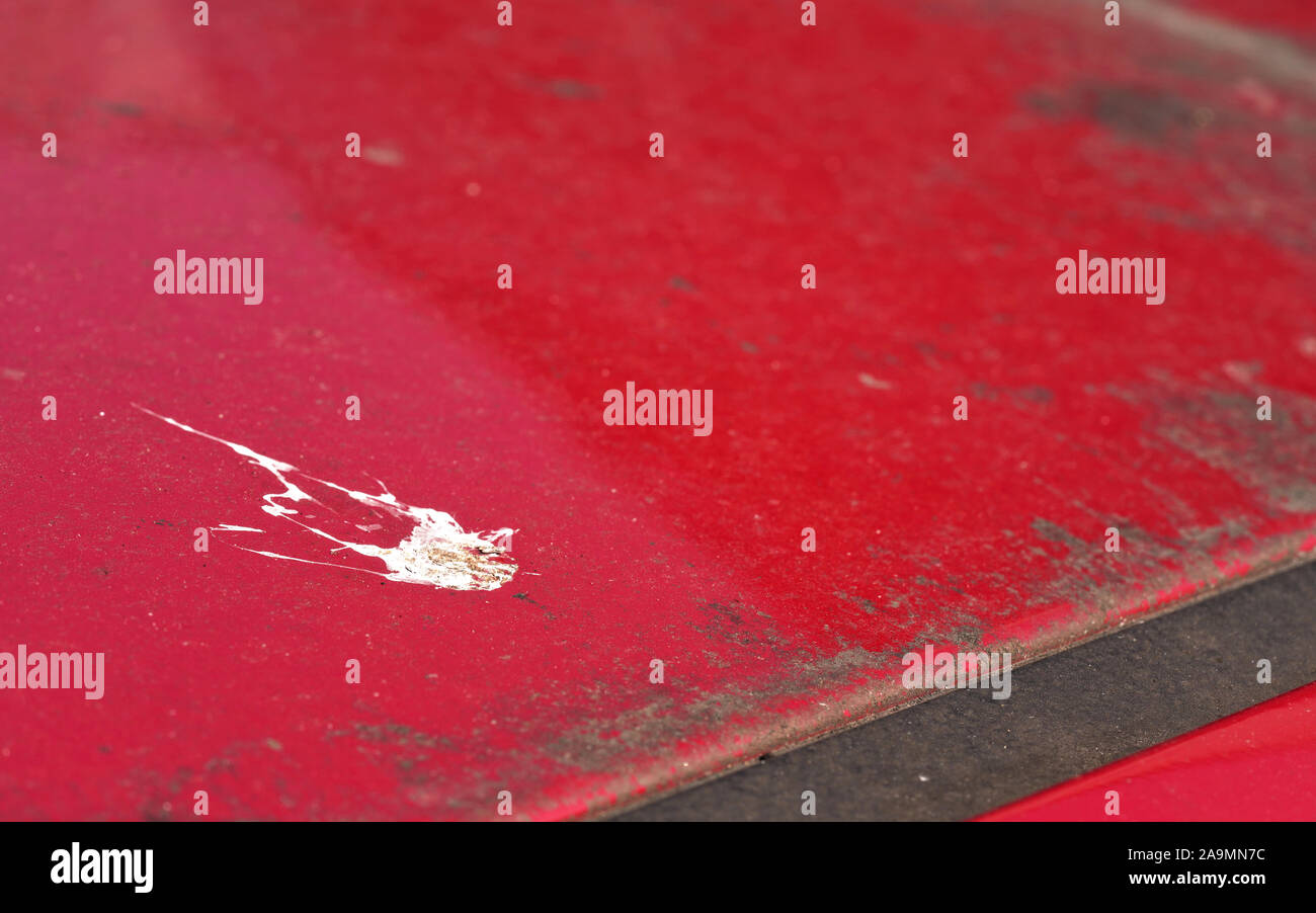 Bird dropping on window hi-res stock photography and images - Alamy