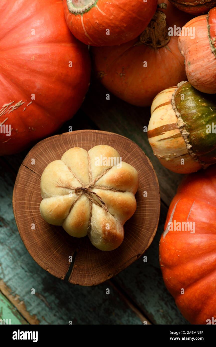 Pumpkin Shape Photo Copy