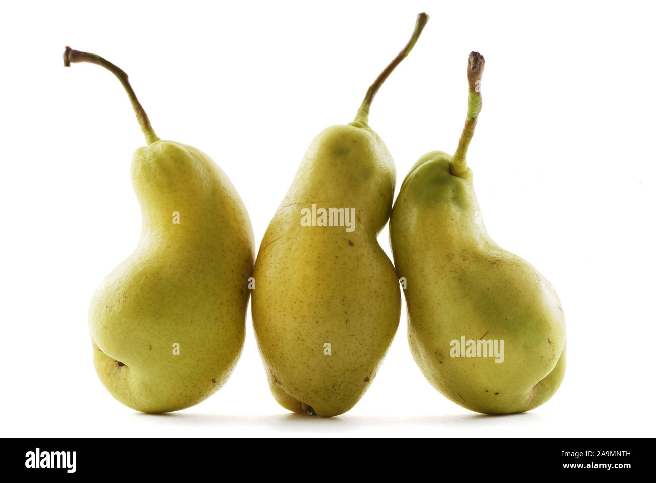 Ugly fruits. Oddly shaped organic pears isolated on white background ...