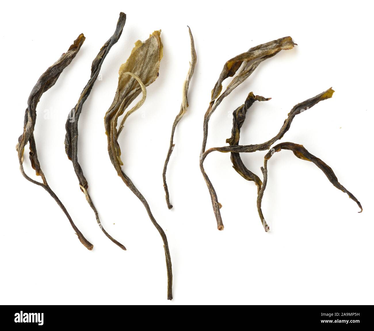 Wild arbor loose raw puerh from Guangbie mountains in Yunnan province ...