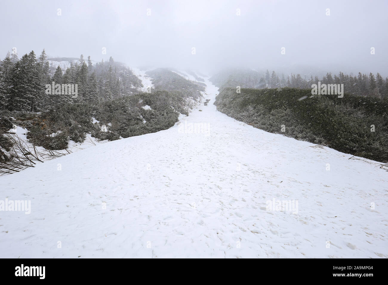 Frost descent hi-res stock photography and images - Alamy