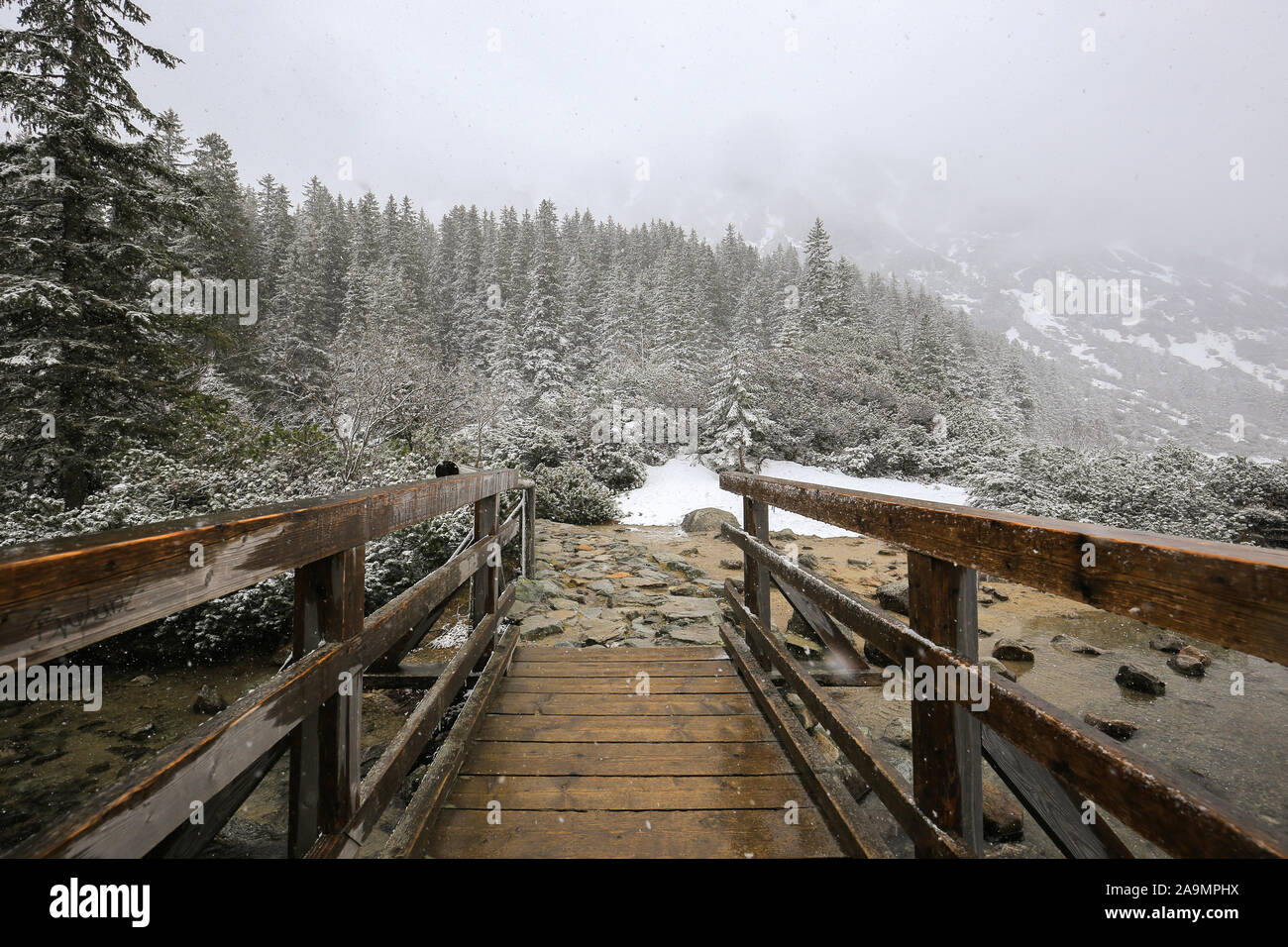 Wooden bridge over the river in the winter forest Stock Photo - Alamy