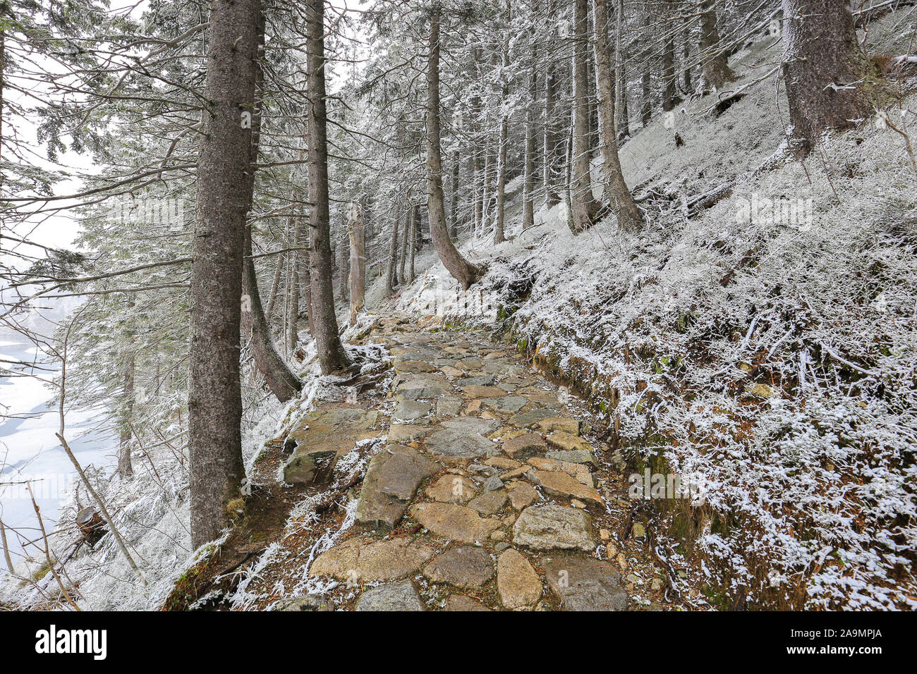 Stone forest lake hi-res stock photography and images - Alamy