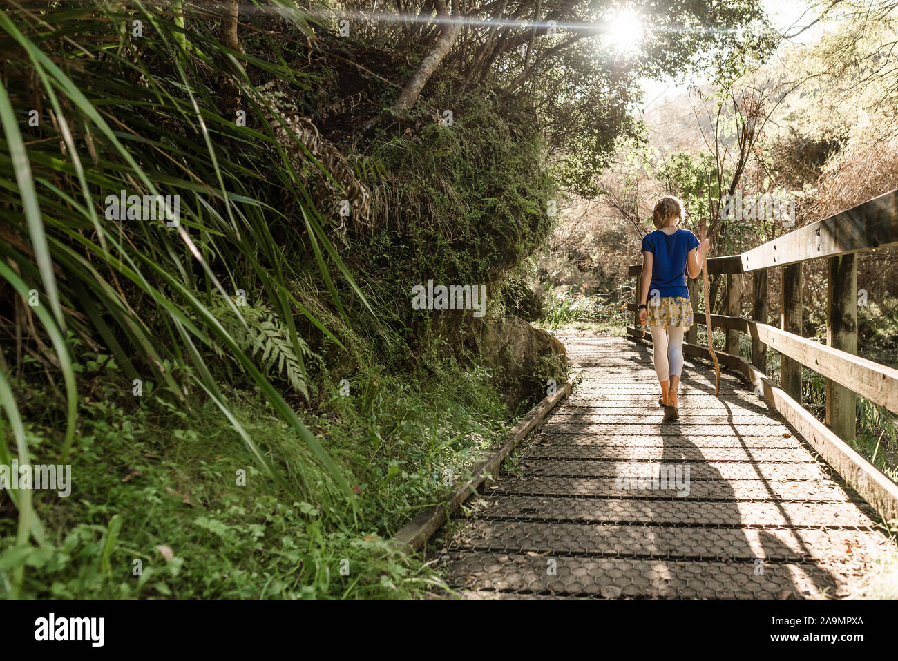 Tween girl walking on wooden forest path in New Zealand Stock Photo - Alamy