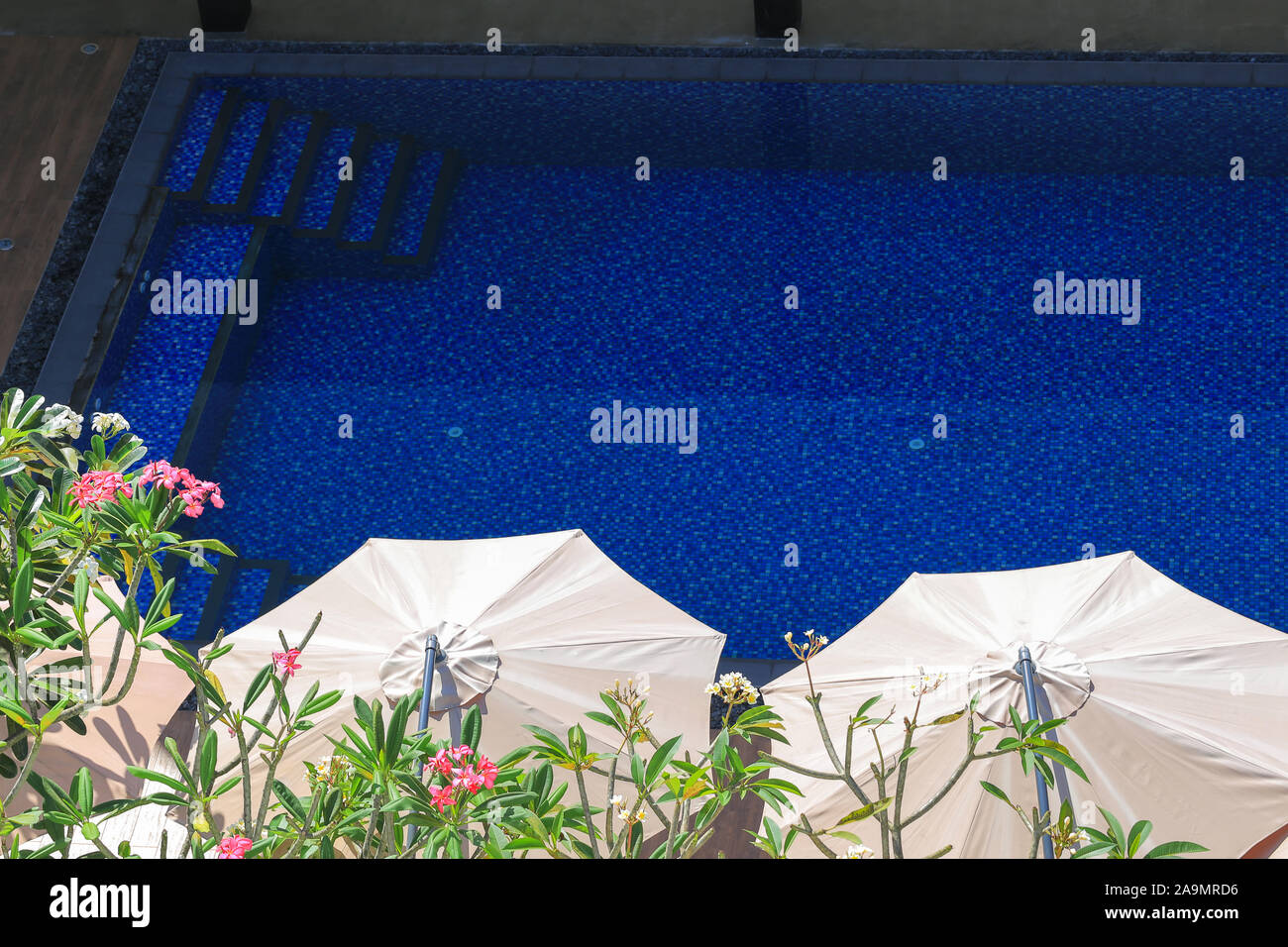Luxury outdoor swimming pool blue color at resort Stock Photo - Alamy
