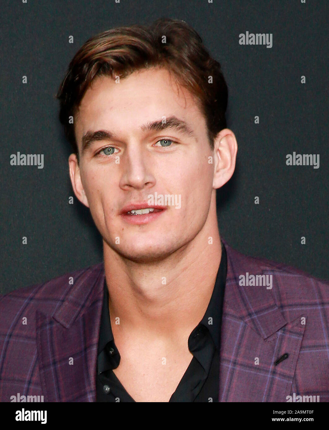 Santa Monica, CA, USA - Nov 10, 2019: Tyler Cameron attends 45th Annual ...