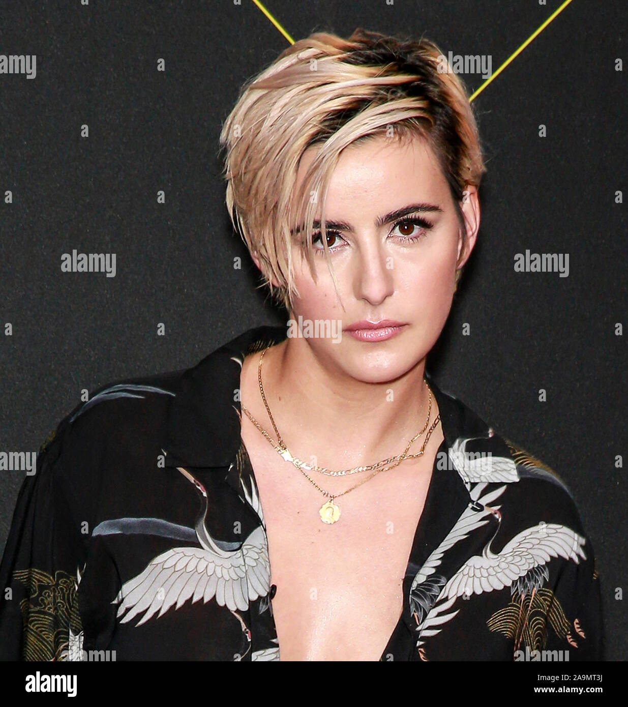 Santa Monica, CA, USA - Nov 10, 2019: Jacqueline Toboni attends 45th ...