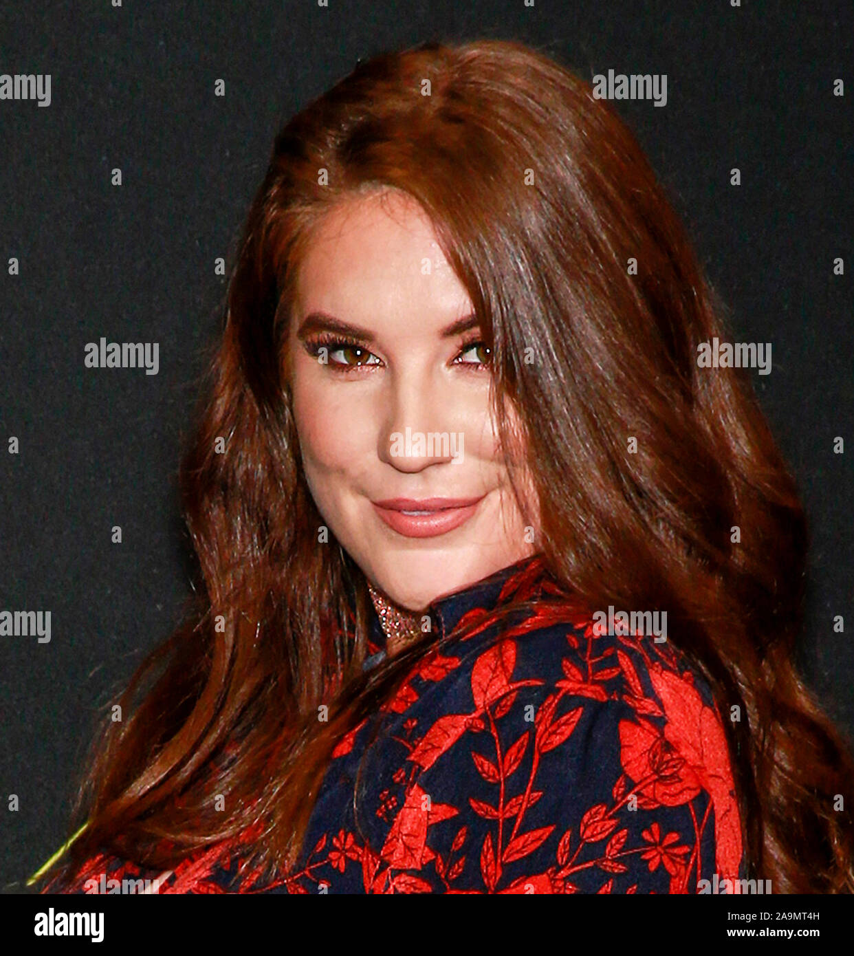 Santa Monica, CA, USA - Nov 10, 2019: Heidi Heaslet attends 45th Annual ...