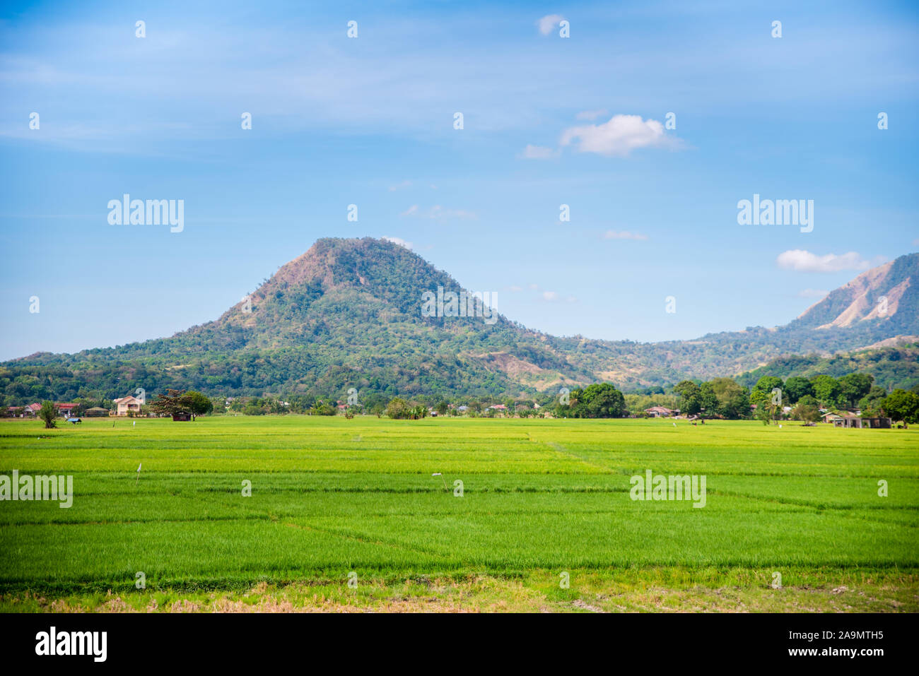 Vast valley of Zambales in the Philippines with its mountains in the ...