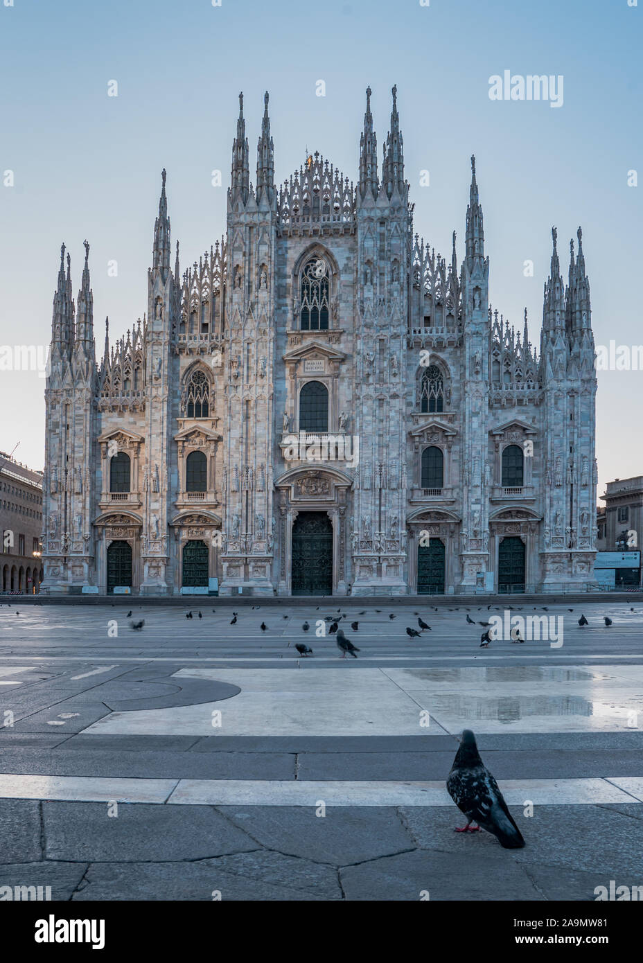 Gothic medieval church pigeon hi-res stock photography and images - Alamy
