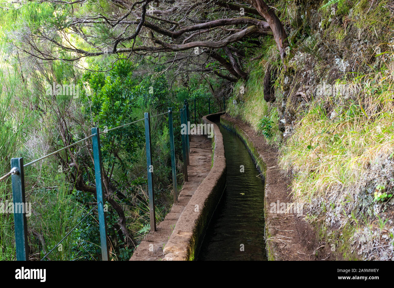 Irrigation canal levada in Madeira islands forests, Portugal Stock ...
