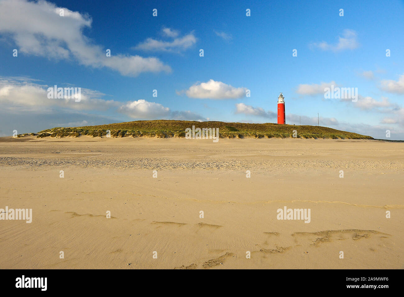 Insel texel hi-res stock photography and images - Alamy