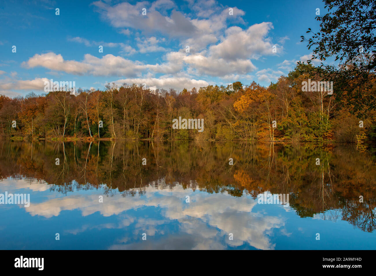 Fishing lake uk hi-res stock photography and images - Alamy