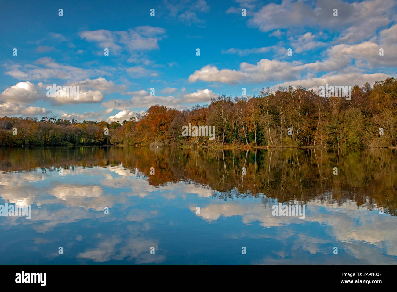 Slaugham Mill Pond during autumn, West Sussex, England, Uk Stock Photo ...