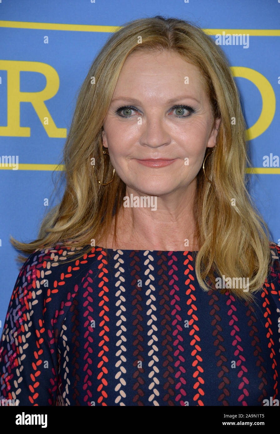 LOS ANGELES, CA. October 13, 2015: Actress Joan Allen at the Los ...