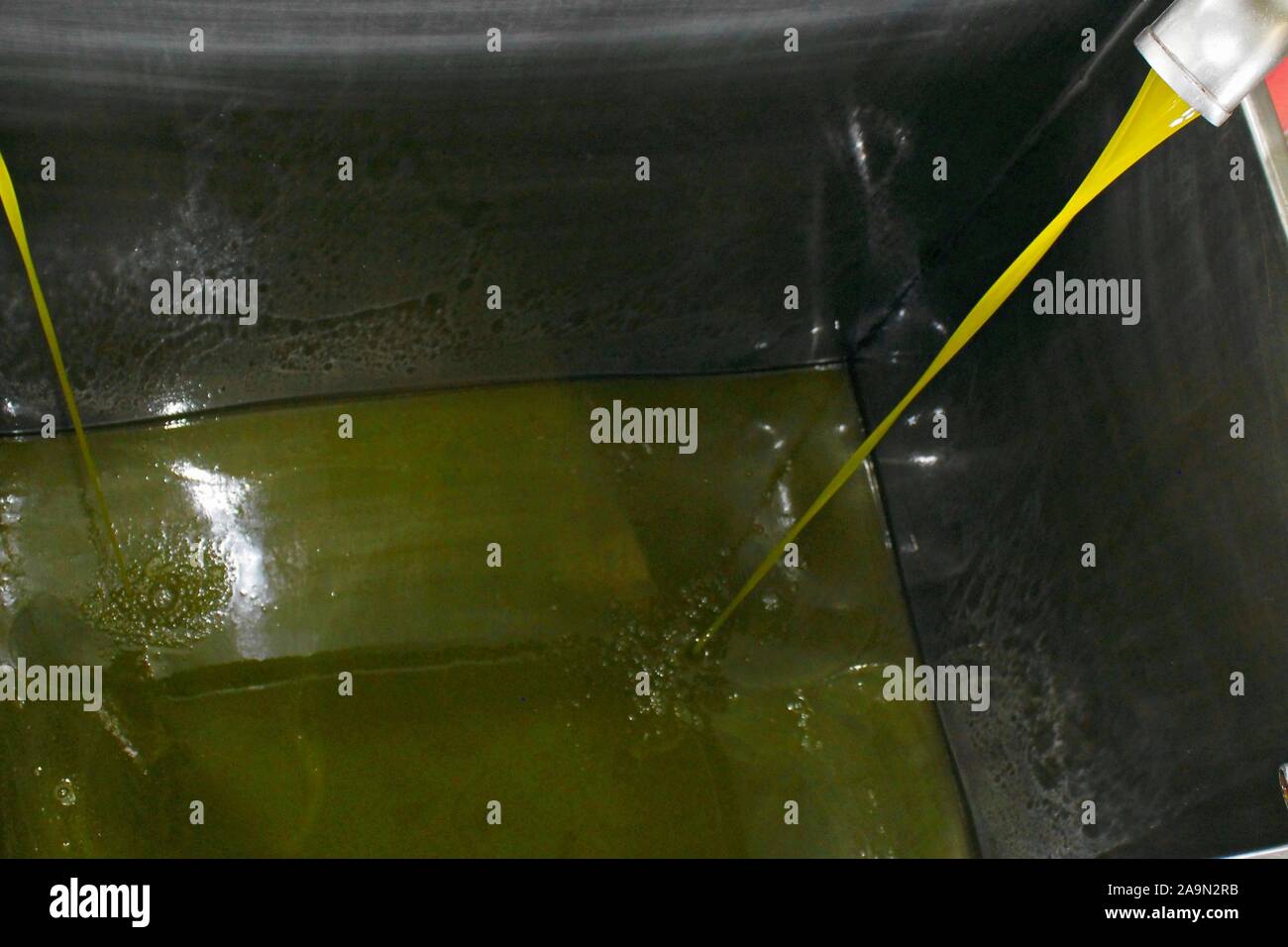 Extra virgin olive oil extraction process in olive oil mill in Greece ...