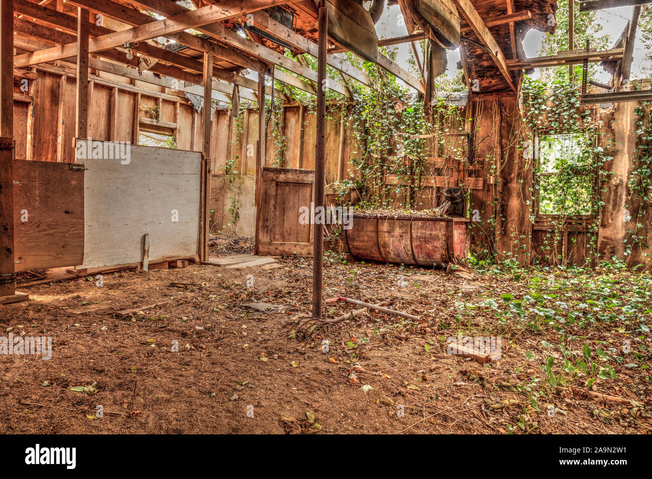 Run down dilapidated horse barn on an abandoned farm in New England ...