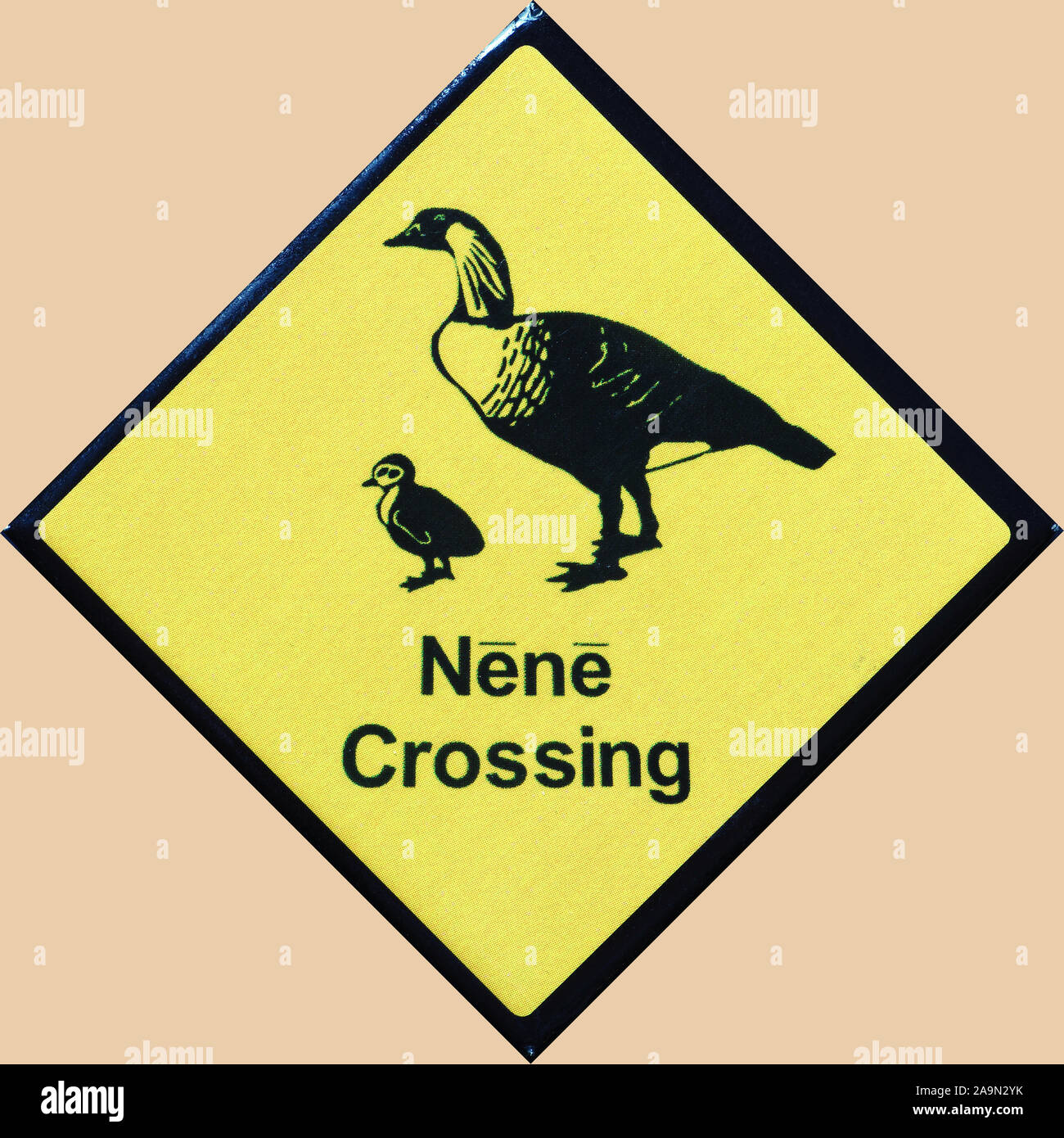 Copy of road sign warning about geese crossing in Hawaii Stock Photo ...