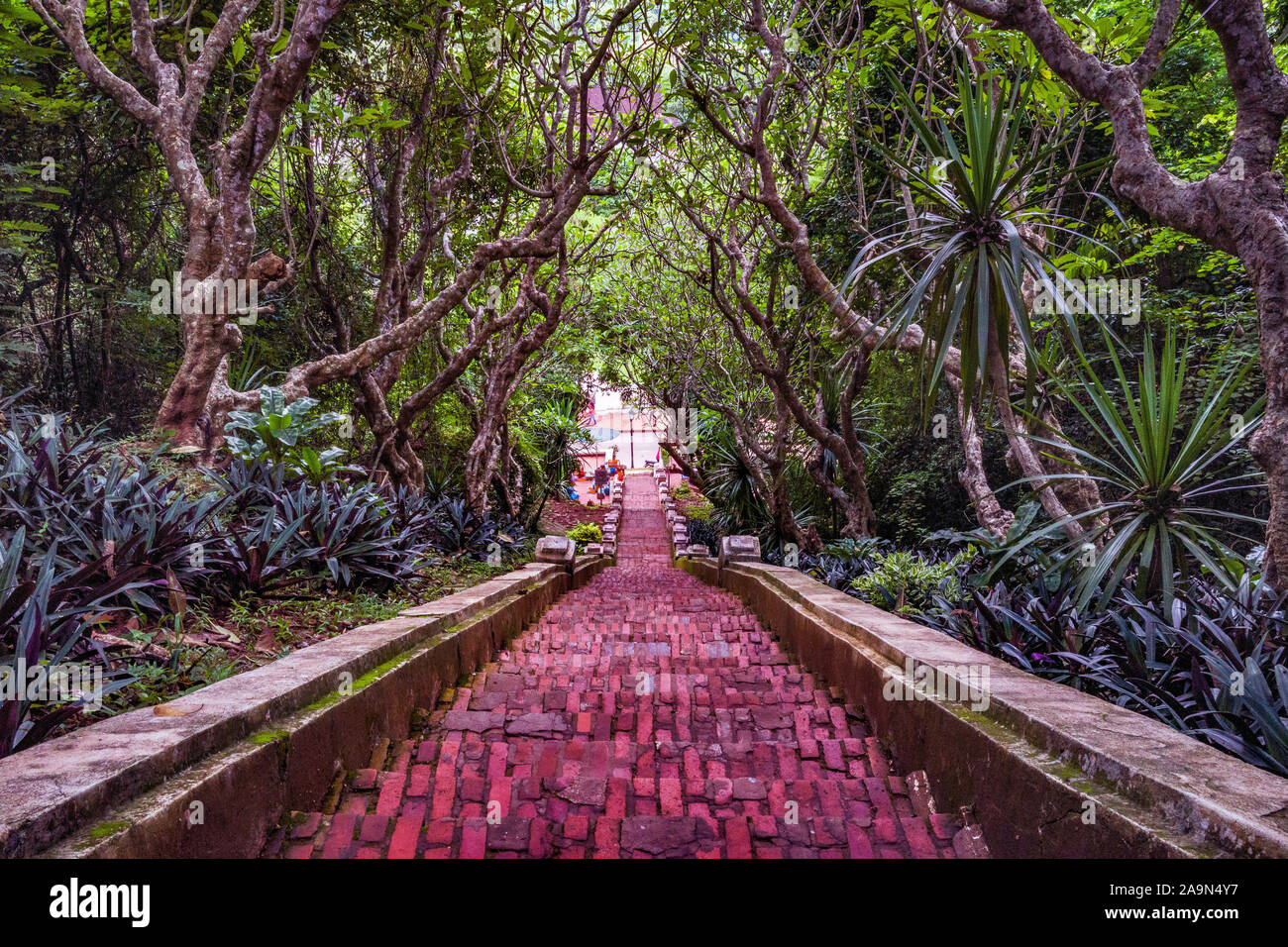 The many steep steps up to the Temple or Wat on Mount Phousi in the ...