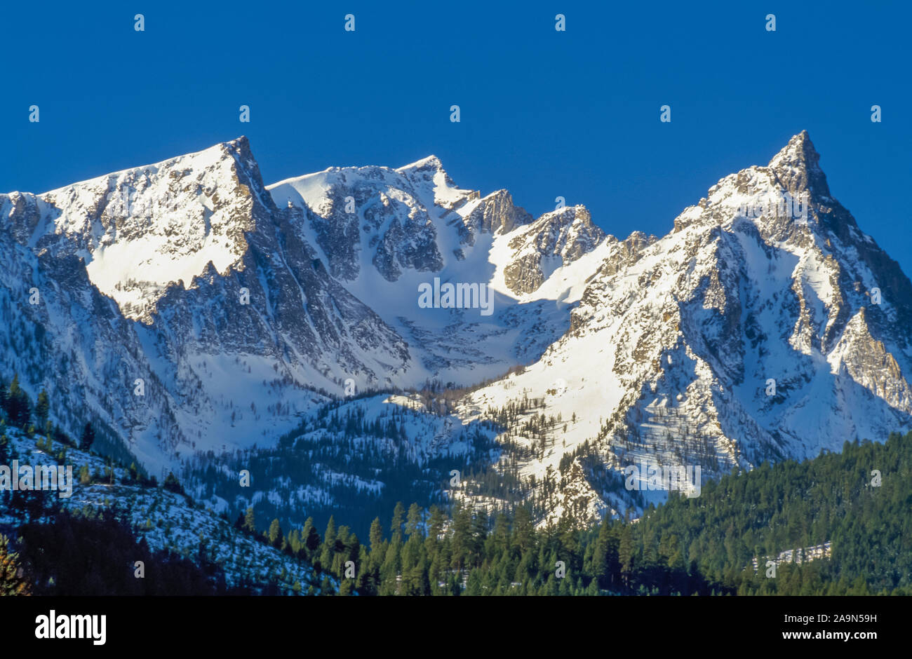Bitterroot Mountain Range