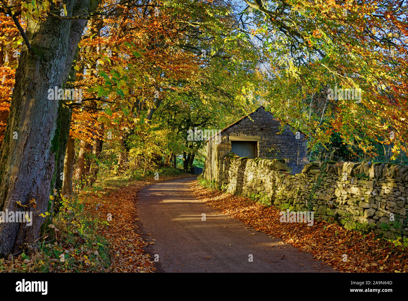 Hollowford lane hi-res stock photography and images - Alamy